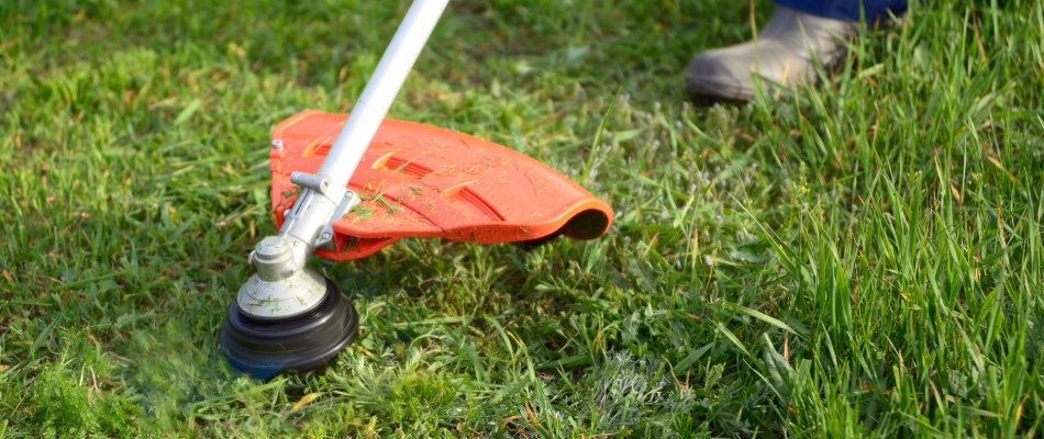 4 Reasons You Should Hire Professionals to Mow Your Lawn | Big Lakes ...